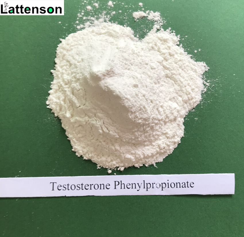 Male Reproductive Steroids Raw Powder Testosterone Phenylpropionate
